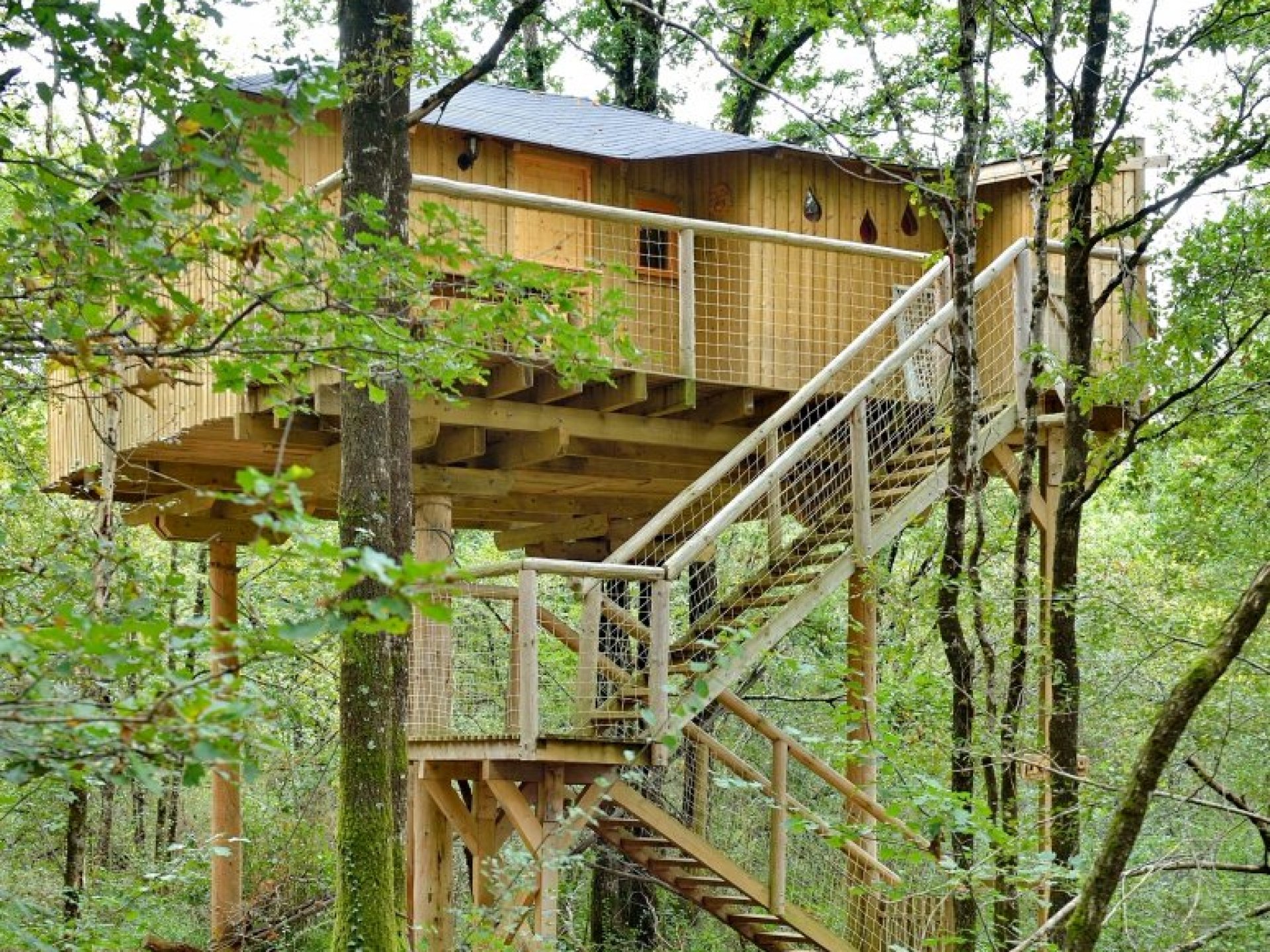 Maison dans les Branches n°3 - 6 personnes - Idées de Weekend Insolite Maison dans les Branches n°3 - 6 personnes - Idées de Weekend Insolite