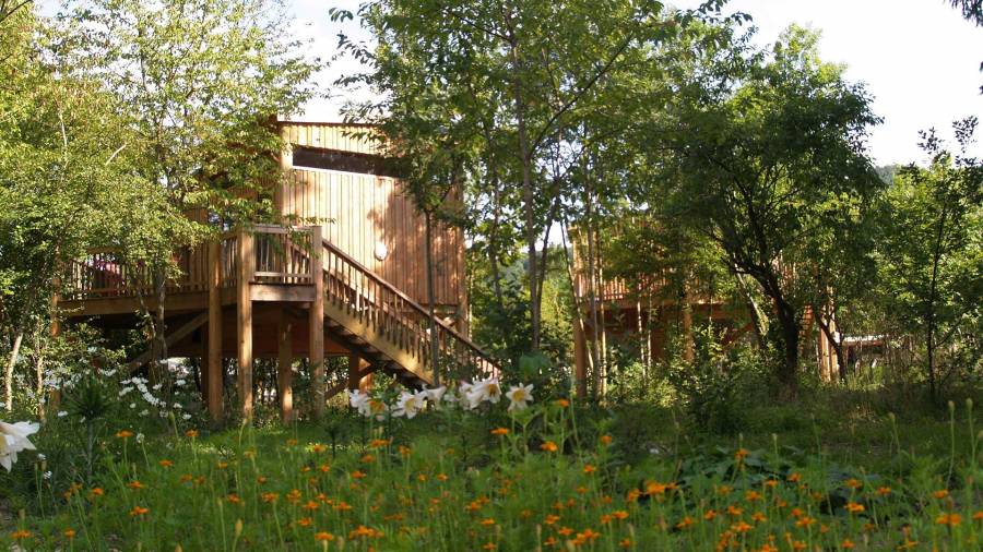 Cabane Perchée Premium - Idées de Weekend Insolite
